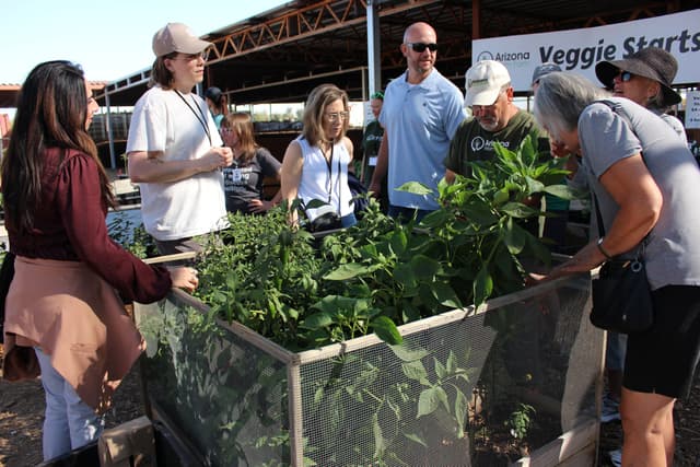 Arizona Farm to School Collaborative